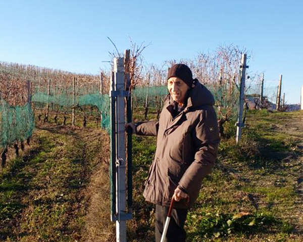 Un’ora di sole ai Dardi | accademiadeglialteratighttps://fr.zm ...